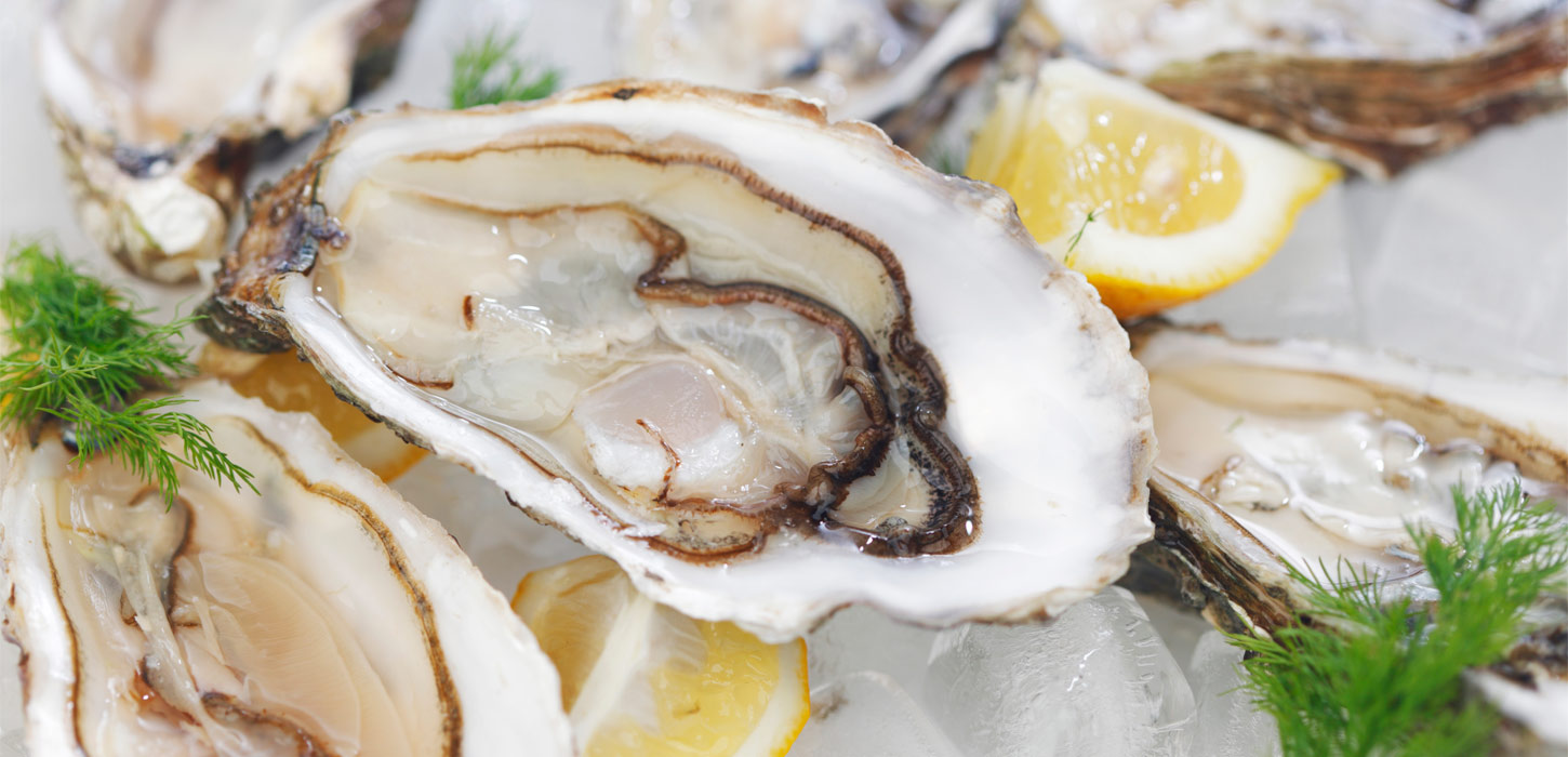 Oyster stay | Holiday by the Wadden Sea